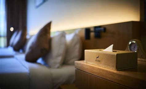 Dsora Boutique Business Hotel Au 55 Deals And Reviews Bandar Sri Sendayan Mys Wotif