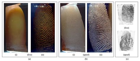 Detecting Falsified Fingerprints With A Raspberry Pi By Cameron Coward Medium