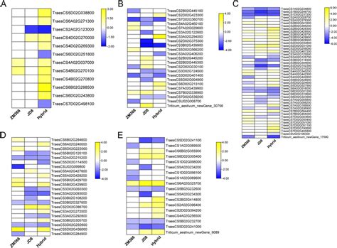Phytohormone Biosynthesis Pathway A Aba B Ga C Ctk D Iaa E Et