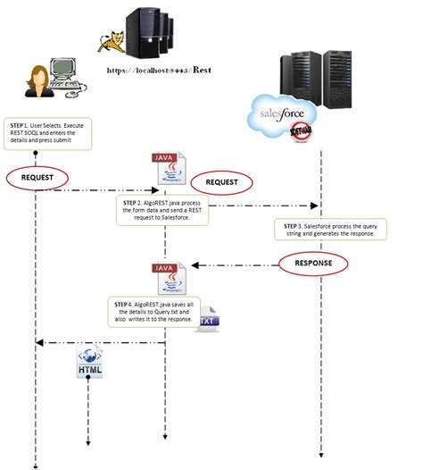 Salesforce REST Integration JAVA Application Ajay Dubedi
