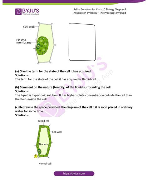 Selina Concise Class 6 Biology Chapter 3 Cell The Selina Concise Class 6 Biology Chapter 3 Cell The