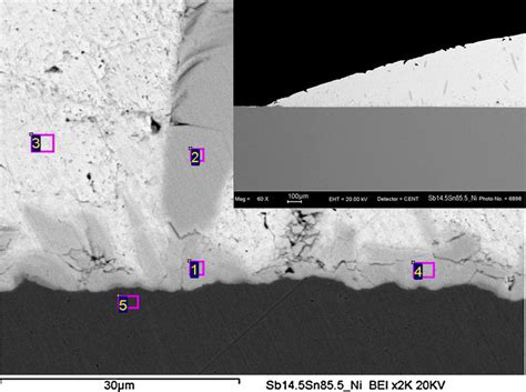 Sem Micrograph Of A Cross Section Of The Sb 145 Sn 855 Ni System Download Scientific