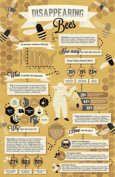 Bee Infographic