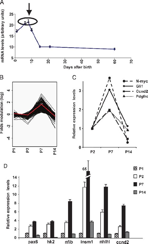 Identification Of Genes Whose Expression Mirrors Hedgehog Activity Download Scientific Diagram