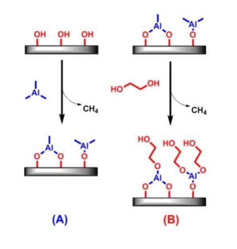 Molecular Layer Deposition Building Hybrid Materials