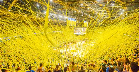 ‎hapoel Hapoel Tel Aviv Fc מועדון הכדורגל הפועל תל אביב