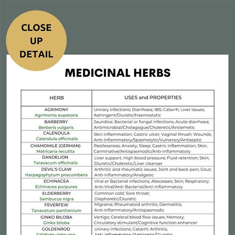 Medicinal Herb Guide Digital Download Herb Reference Guide Herb
