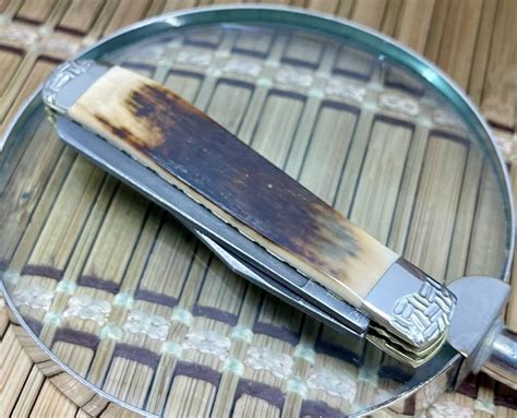 Mammoth Fossil Damascus Mini Trapper Case Xx