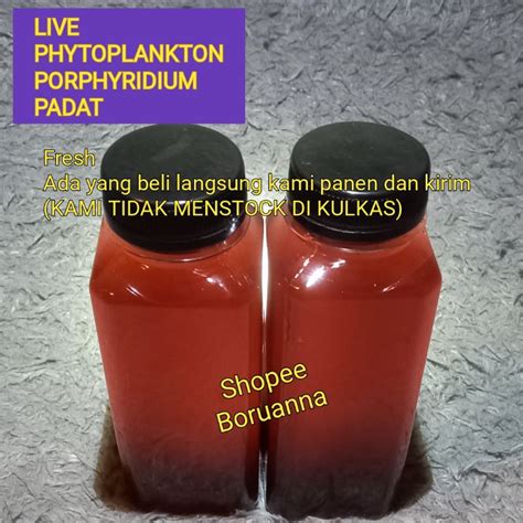 Merah Phytoplankton Porphyridium Red Microalgae Shopee Malaysia