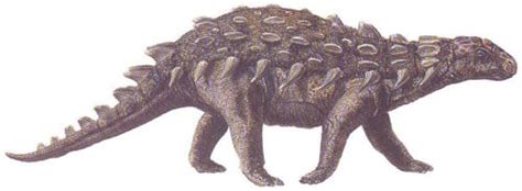 Silvisaurus
