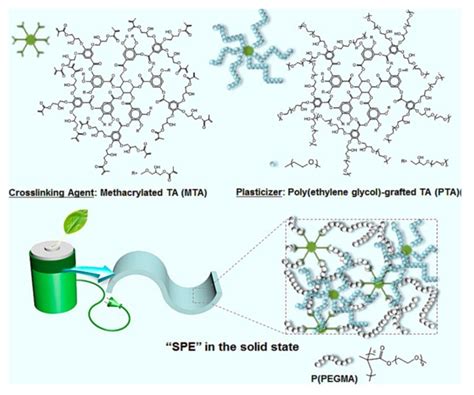 Development Of The Peo Based Solid Polymer Electrolytes For All Solid
