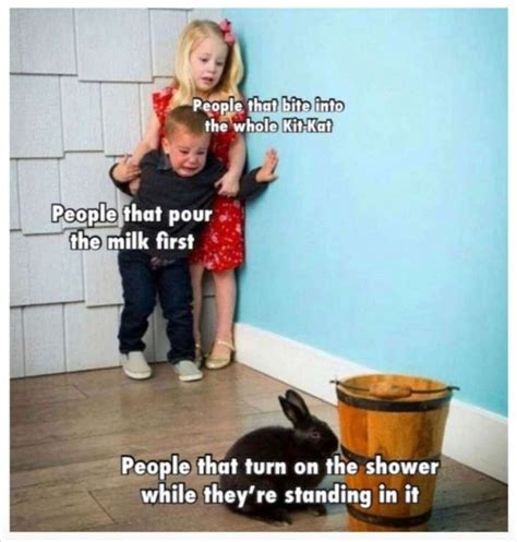 30 Punny Memes Full Of Innuendo Artofit