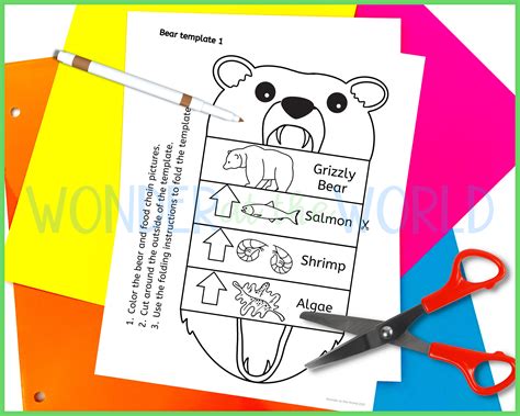 Make A Food Chain Foldable Activities Pdf A4 And 85x11 Inch Science