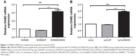 Construction Of A Recombinant Eukaryotic Expression Vector Containing Ott