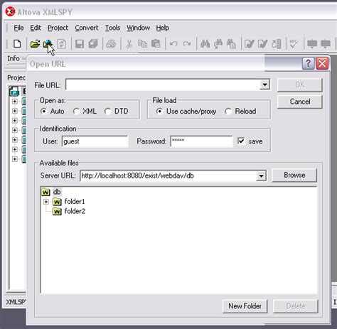 Using Webdav To Access The Database