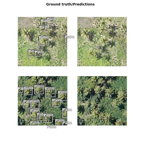 Deep Learning Palm Tree Detection Tutorial Inco Esri Community