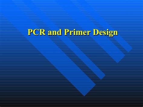 Primer Design Task