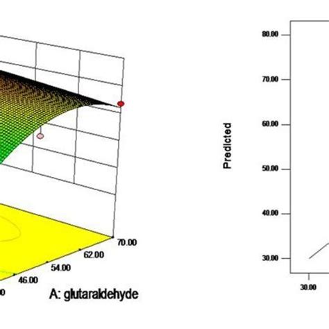 A Response Surface Plot Showing The Effect Of Agitation Speed And