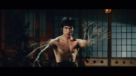 이소룡 딸 브루스 리 일대기 그린 영화 제작 연예 기사 더팩트