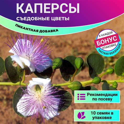 XSeedS каперсы - купить по выгодным ценам в интернет-магазине OZON ...