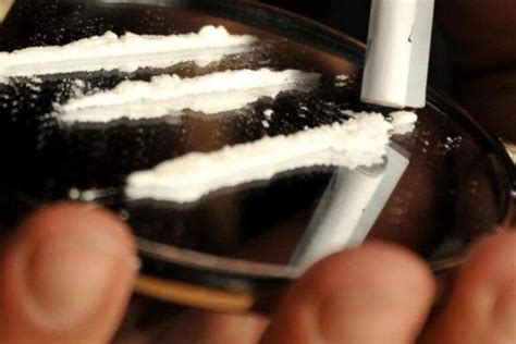 Nel 2024 Record Di Morti Per Cocaina In Italia Cresce Anche Luso Di Antidepressivi Nei