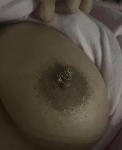 Weed Wednesday Nov 9 10