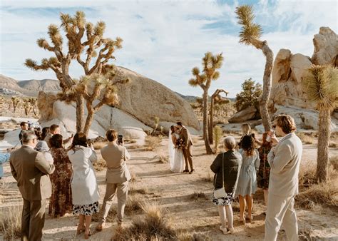 Joshua Tree Elopement Photographer