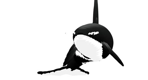 Killer Whale Mouse Follower 54 Koleksi Gambar