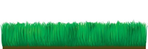 Border Grassy Grass Vector Images 91