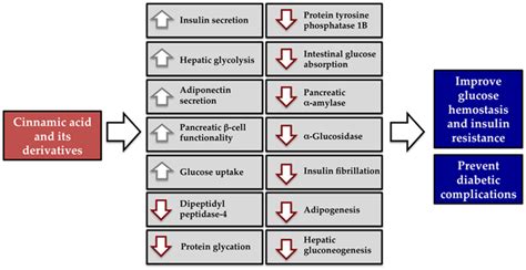 Trans Cinnamic Acid Structure