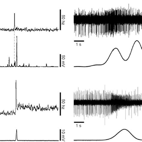Gc Fid Coupled Single Sensillum Recordings Ssr Showing Neuronal