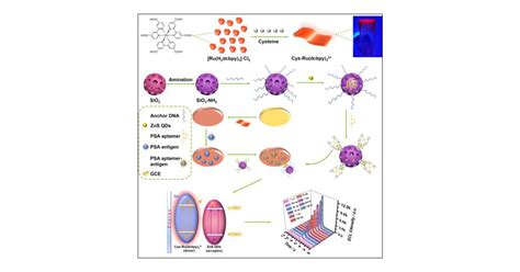 Highly Efficient Signal Onoff Electrochemiluminescence Gel Aptasensor Based On A Controlled