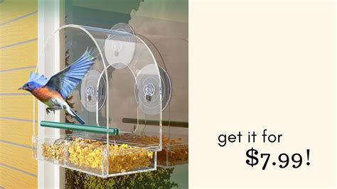 Window Mounted Bird Feeder 799 With Coupons At Amazon Reg 25