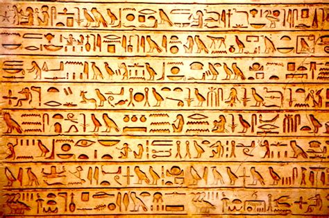 Individual Hieroglyphic Symbols 20 Hand Drawn Egyptian Hieroglyphs