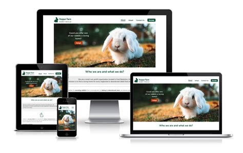 Github Szilvia Csernusrabbitrescue Full Stack Progressive Web Application Pwa Created For