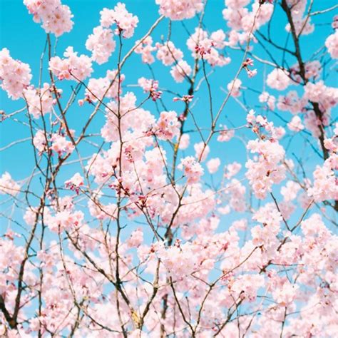 Stream Setsuna Remix Wip [2017] By Yusi In Lowercase Listen Online