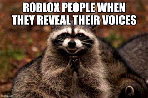 Evil Plotting Raccoon Meme Imgflip