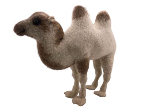 Two Humpy Customizable Masonic Tokens