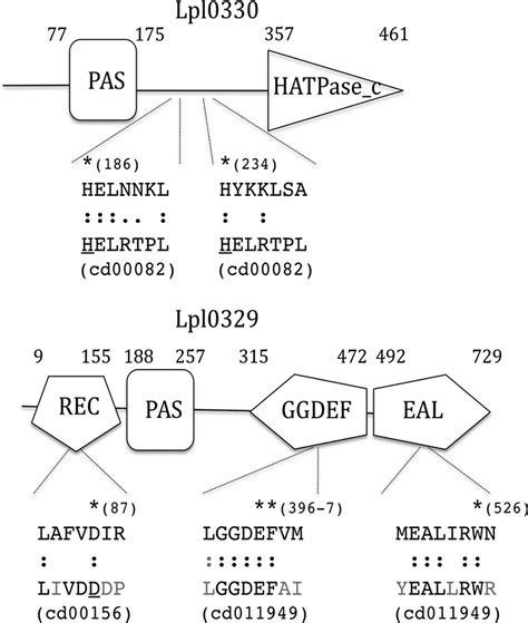 Schematic Diagram Of Conserved Domains Detected By Ncbi Cdd 26 In