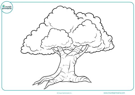Arbol Dibujo Para Colorear Estuvieron Buscando Arbol De Navidad Dibujo