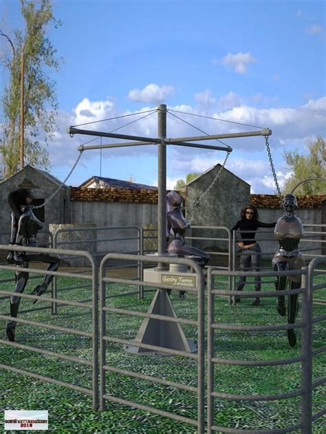 Ponygirls training in the hotwalker : r/Ponygirl_bit
