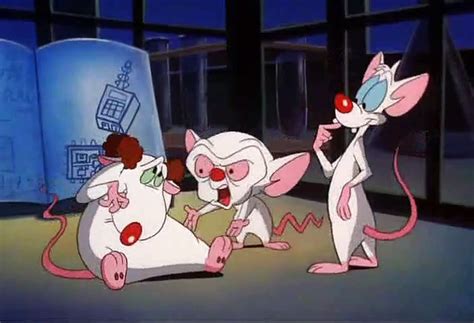 Pinky Brain Cartoon