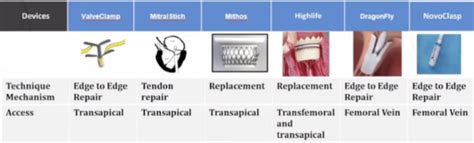 二尖瓣反流介入治疗2022年度报告——宋光远教授 知乎