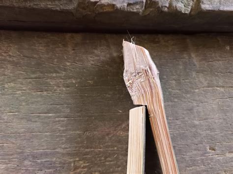 Deadfall Traps Of Thái Đen Tribals In Vietnam Bushguide 101