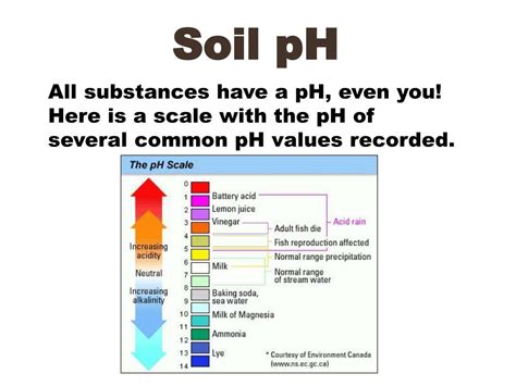 Ppt Soil Powerpoint Presentation Free Download Id2876047