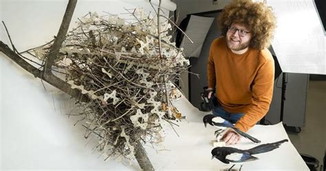 John Minehan On Linkedin Birds Have Co Opted Our Anti Bird Weapons In