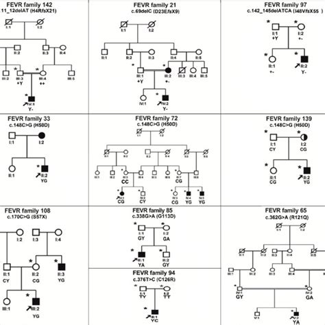 Schematic Picture Of Array Based Comparative Genome Hybridization Download Scientific Diagram
