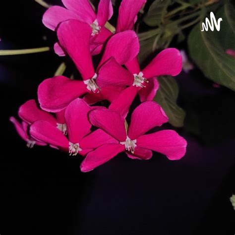 Maths Trigonometry Explained