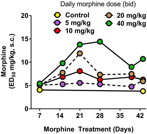 Stabilization Of Morphine Tolerance With Long Term Dosing Association