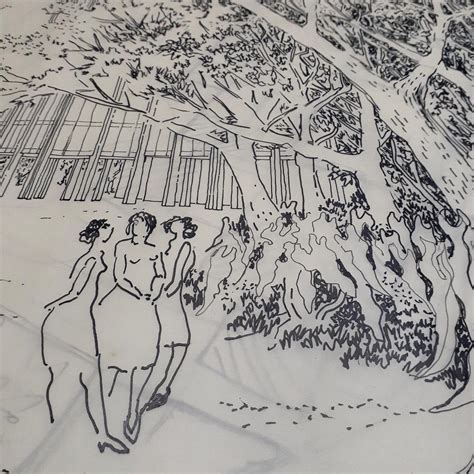 Institutoburlemarx Saudade De Se Encantar Pelos Detalhes Das Plantas